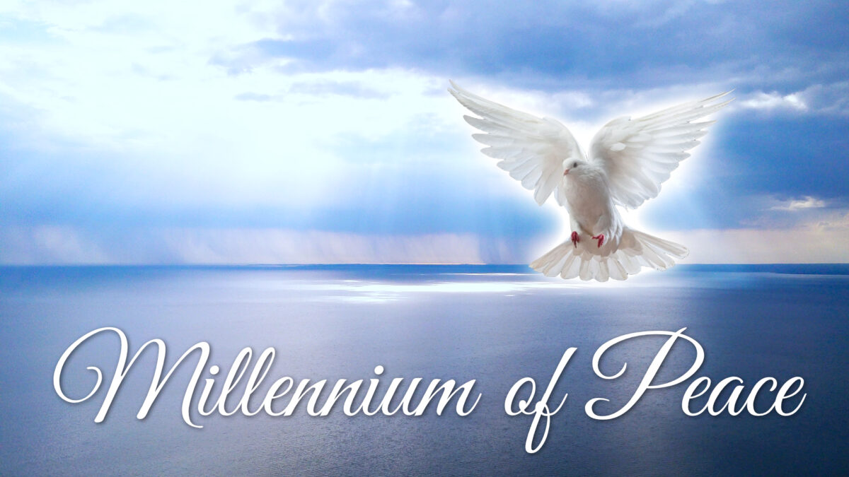 en.ocg.life - OCG (Organische Christus Generation)